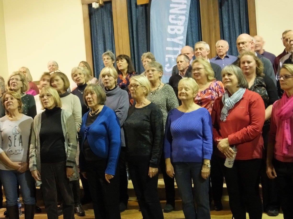 Gallery – Hazel Hannam