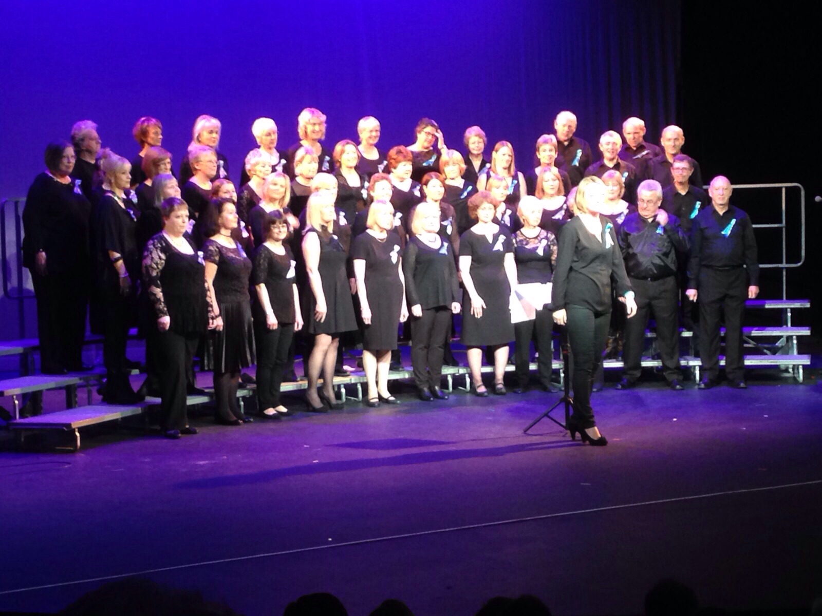 Gallery – Hazel Hannam